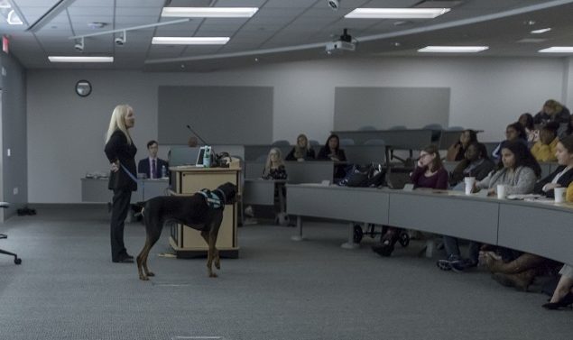 Talking Human Trafficking and Resilience with Linda Geffin – Center for ...