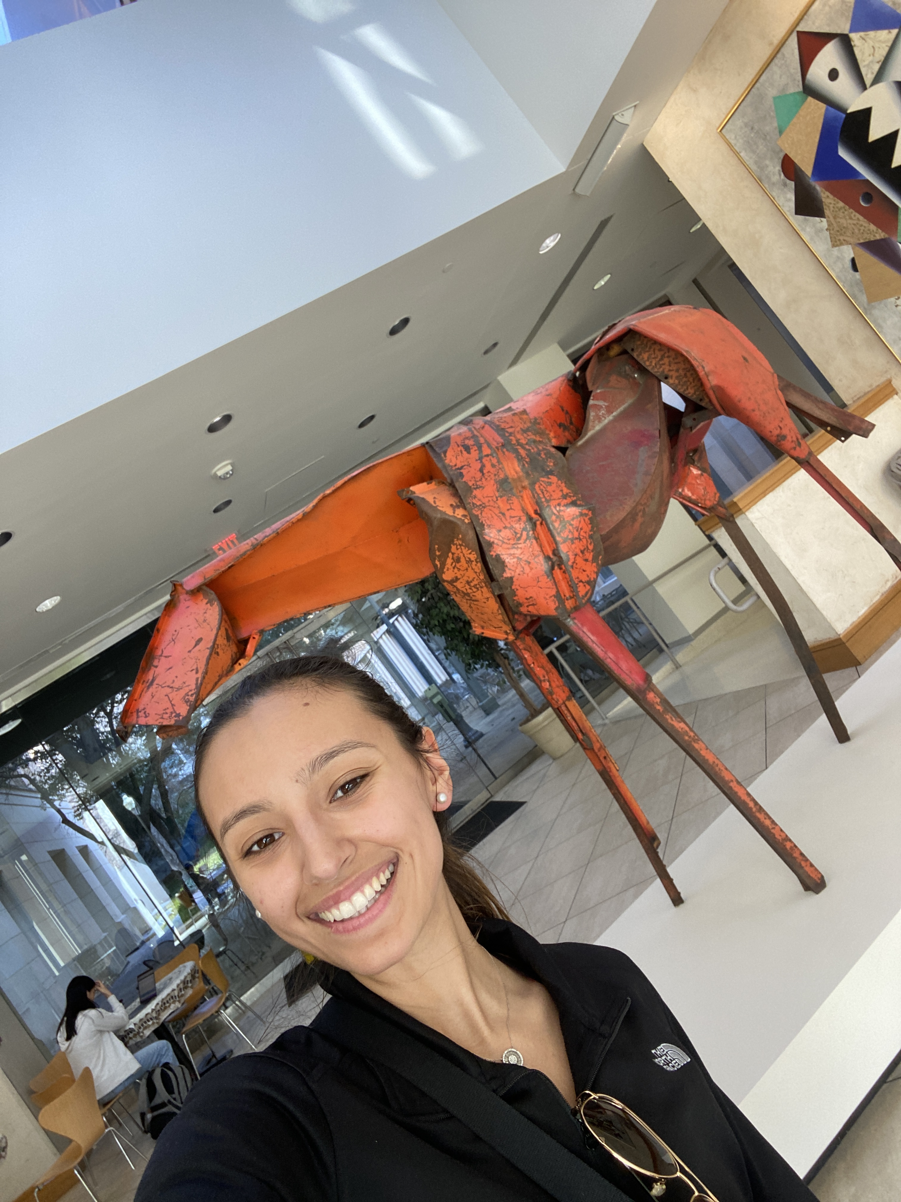 SHAIPing Futures: Yvette in Austin – Center for Law, Engagement, and ...