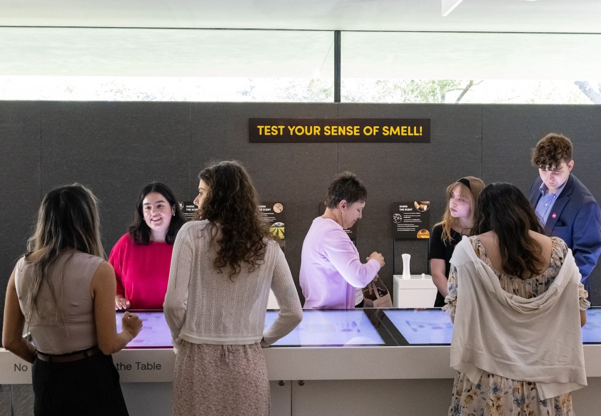 Asia Society Texas Center – Center for Law, Engagement, and Politics