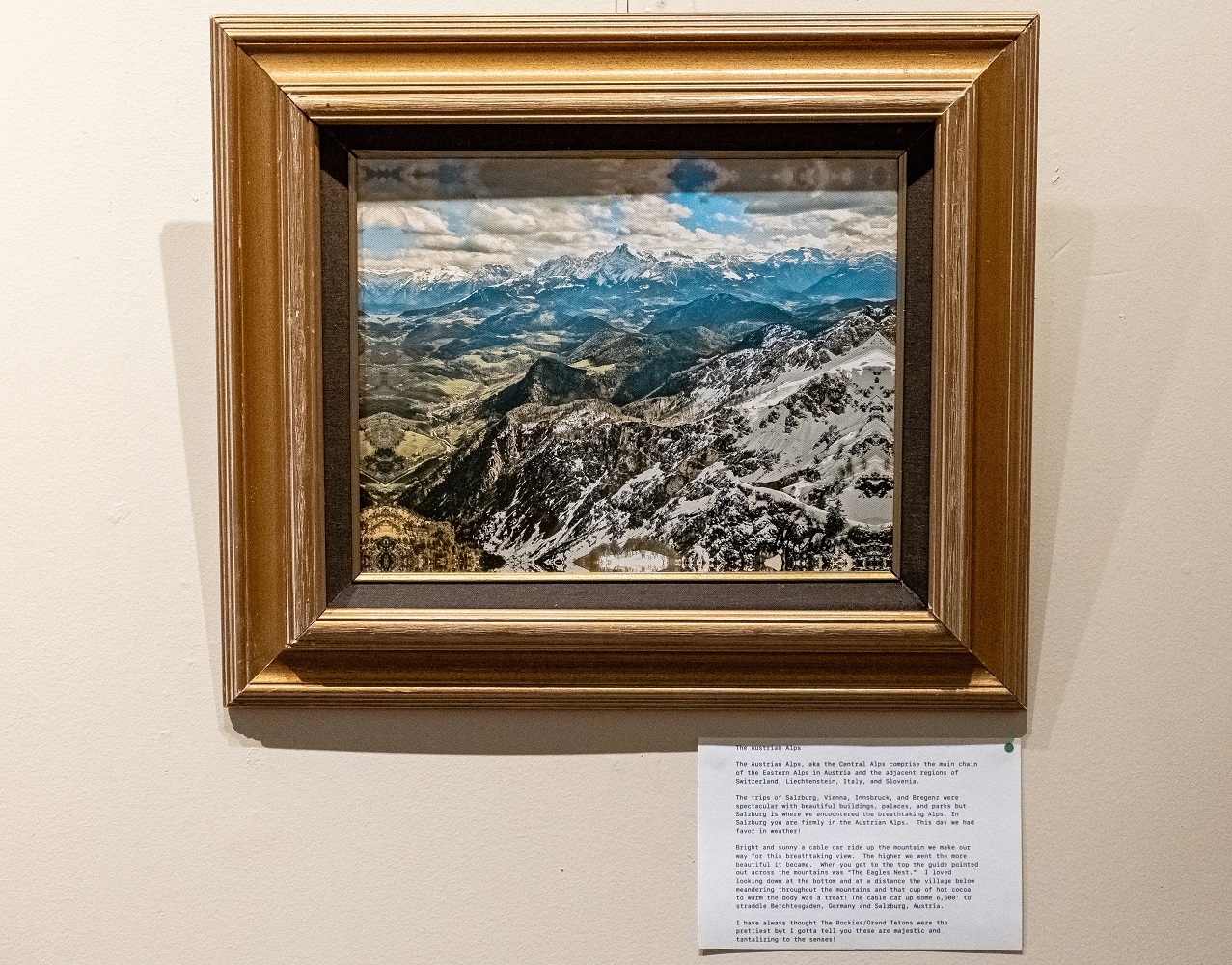 Canvasing the World: Michele Miller – Center for Law, Engagement, and ...